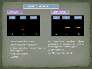 MOLECULAR MARKER | PPTX