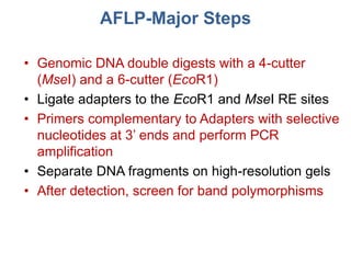 Molecular Markers and Applications-Lecture.pdf