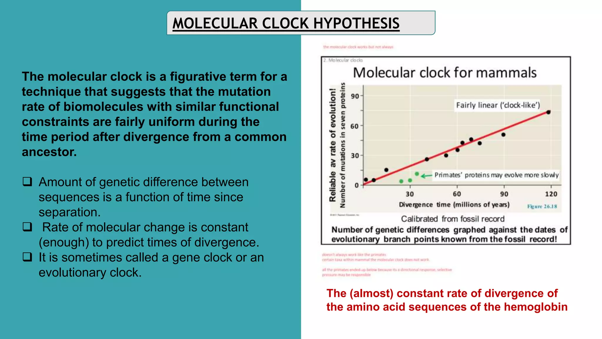 Molecular Markers and Neutral Theory.pptx