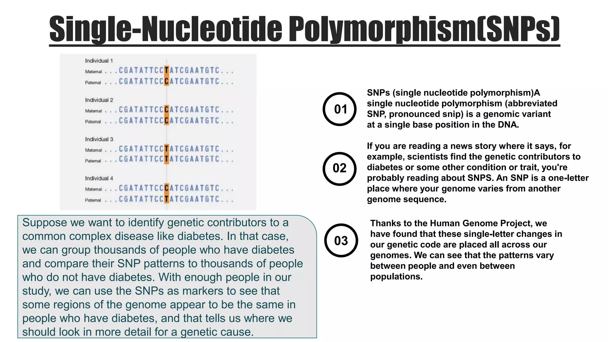 Molecular Markers and Neutral Theory.pptx