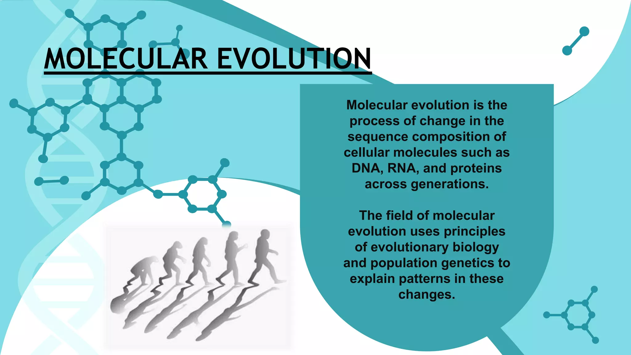 Molecular Markers and Neutral Theory.pptx