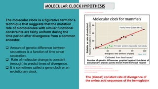 Molecular Markers and Neutral Theory.pptx