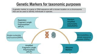 Molecular Markers and Neutral Theory.pptx