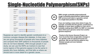 Molecular Markers and Neutral Theory.pptx