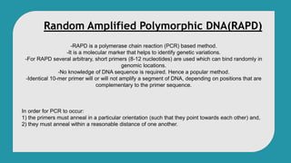 Molecular Markers and Neutral Theory.pptx