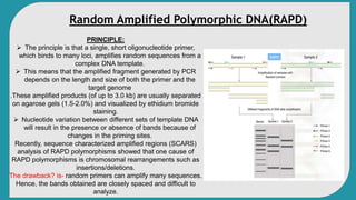 Molecular Markers and Neutral Theory.pptx