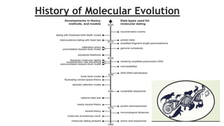 Molecular Markers and Neutral Theory.pptx