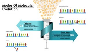 Molecular Markers and Neutral Theory.pptx