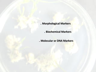 Molecular markers and plant breeding1 | POT