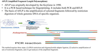 Molecular Markers and Their Application in Animal Breed.pptx