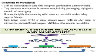Molecular Markers and Their Application in Animal Breed.pptx