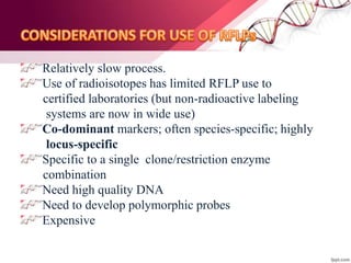 Restriction Fragment Length Polymorphism Process