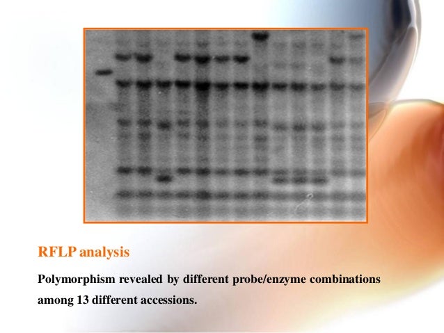Molecular Markers Types And Applications