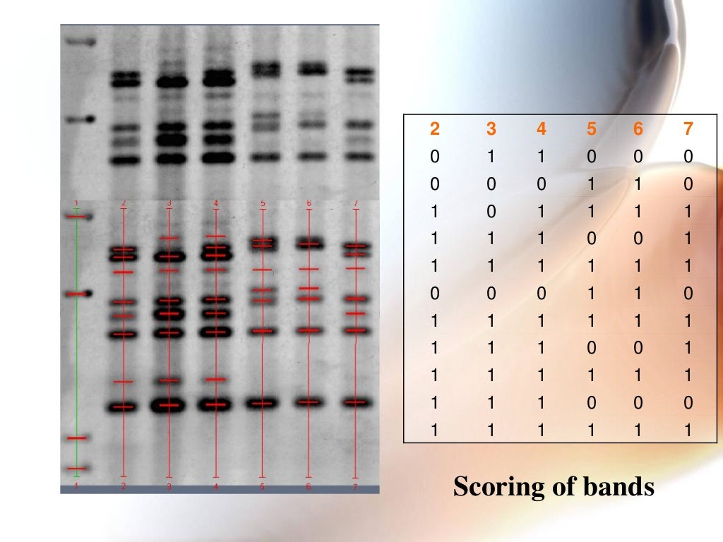 Molecular Markers Types And Applications