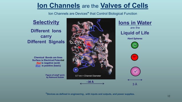 Molecular Mean Field Theory of ions in Bulk and Channels | PPT