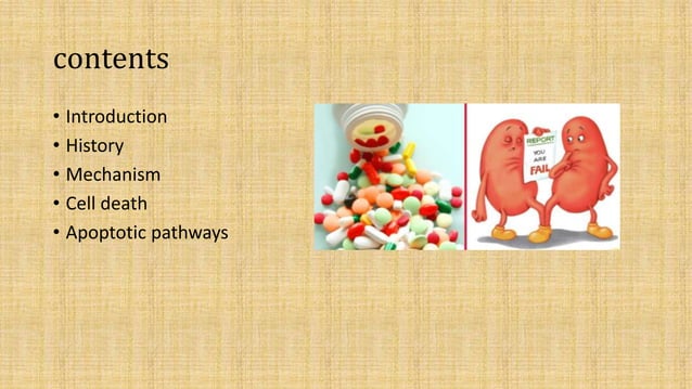 Molecular mechanism involved in cisplatin induced nephrotoxicity | PPT