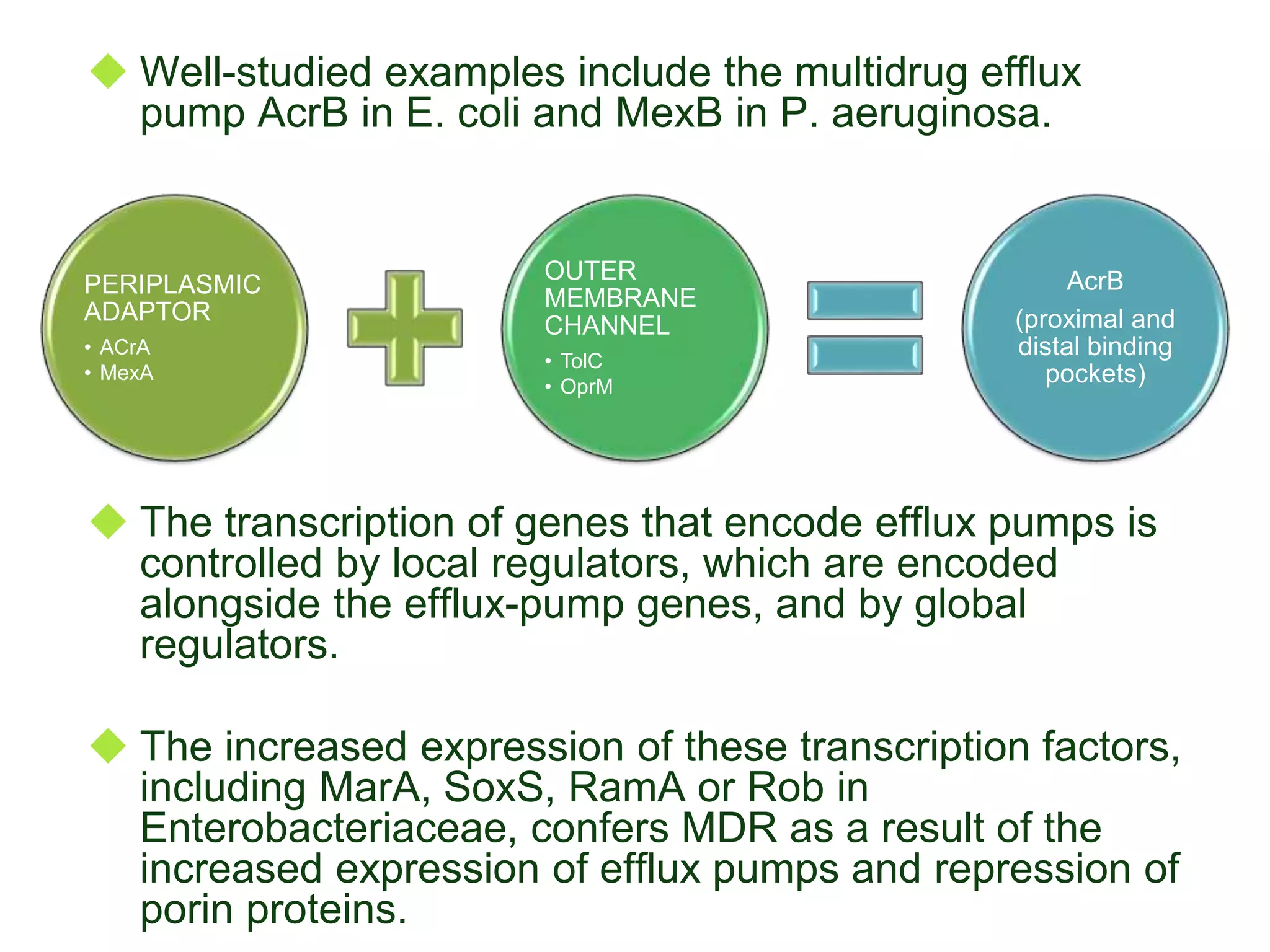 Molecular mechanism of antibiotic resistance | PPTX