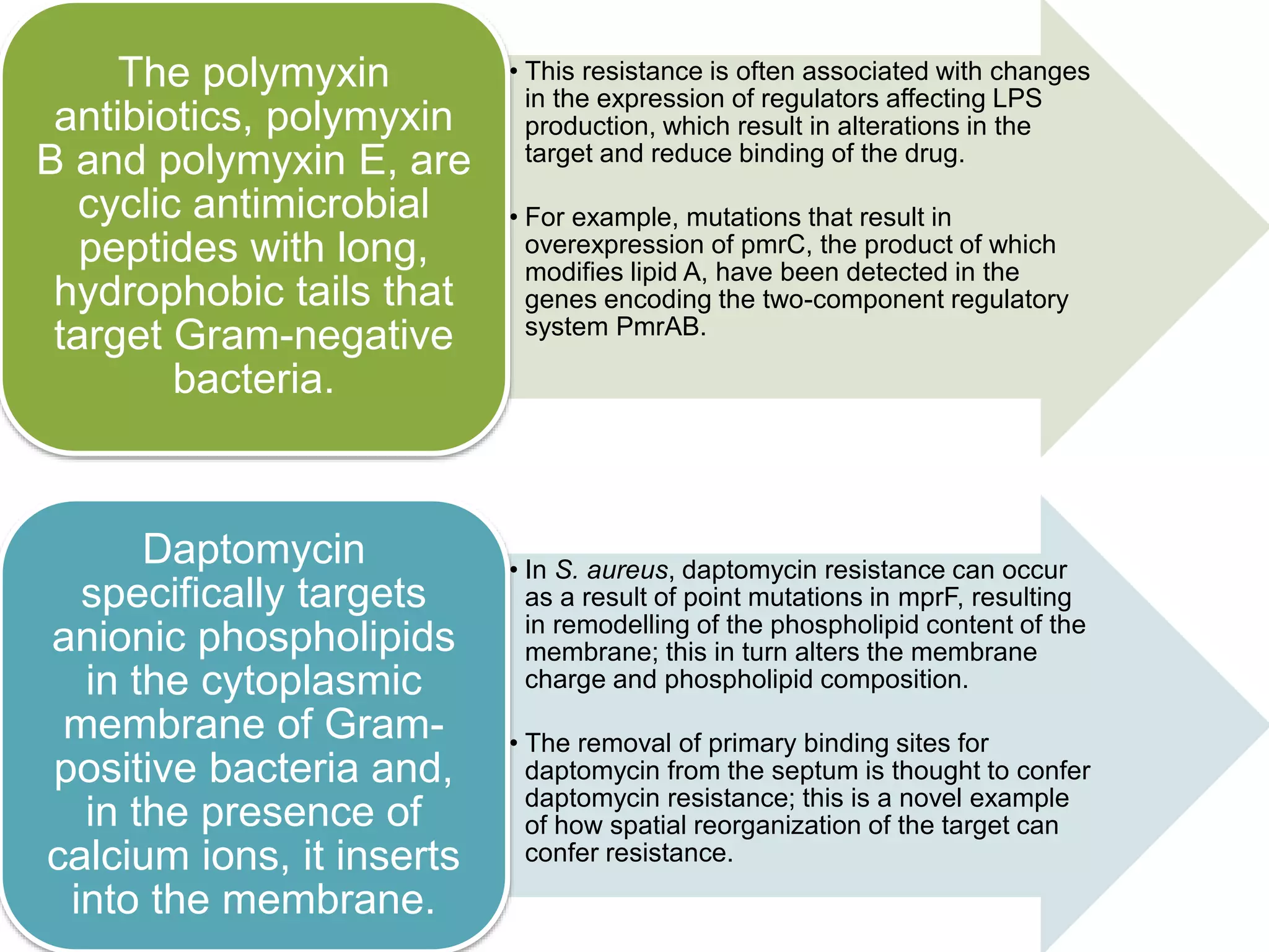 Molecular mechanism of antibiotic resistance | PPTX