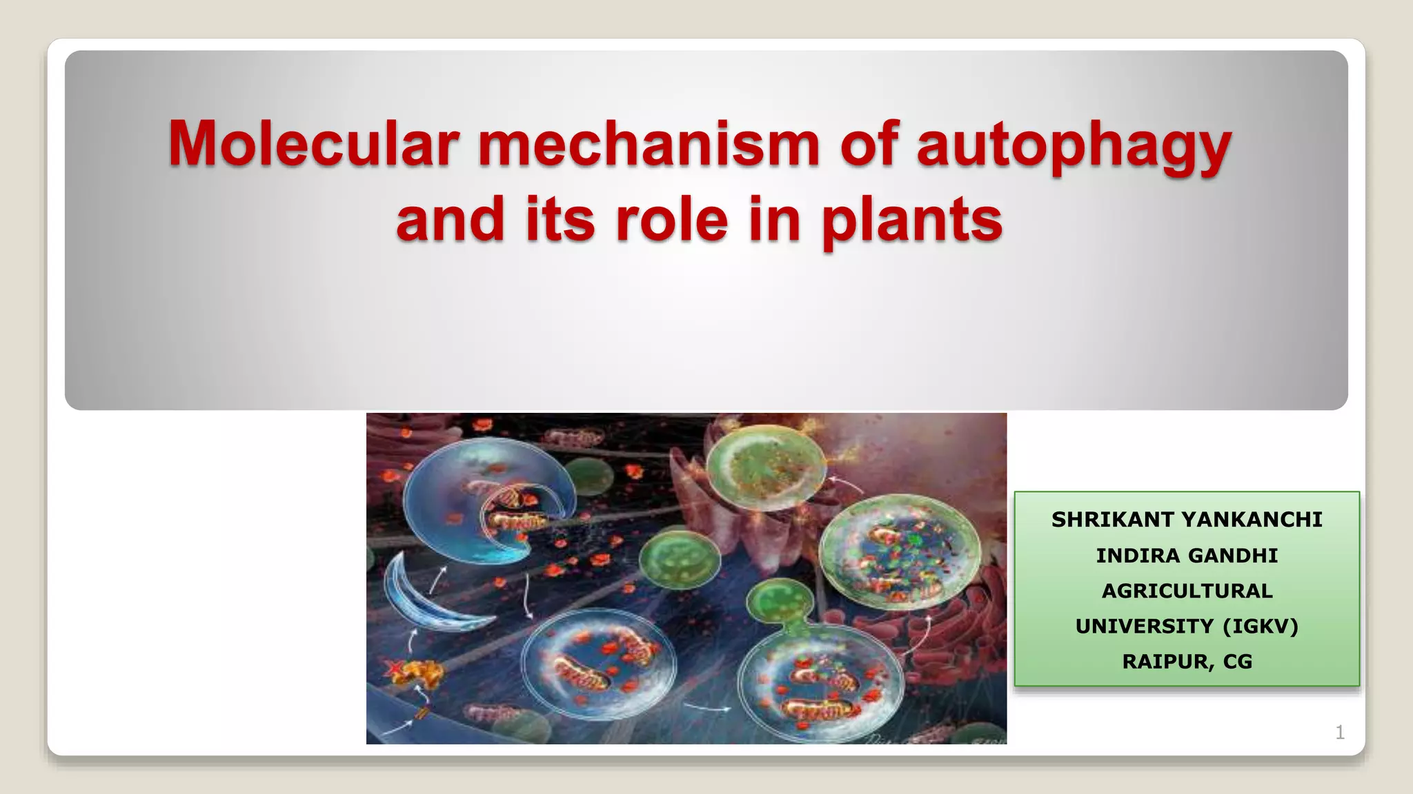 Autophagy | PPTX