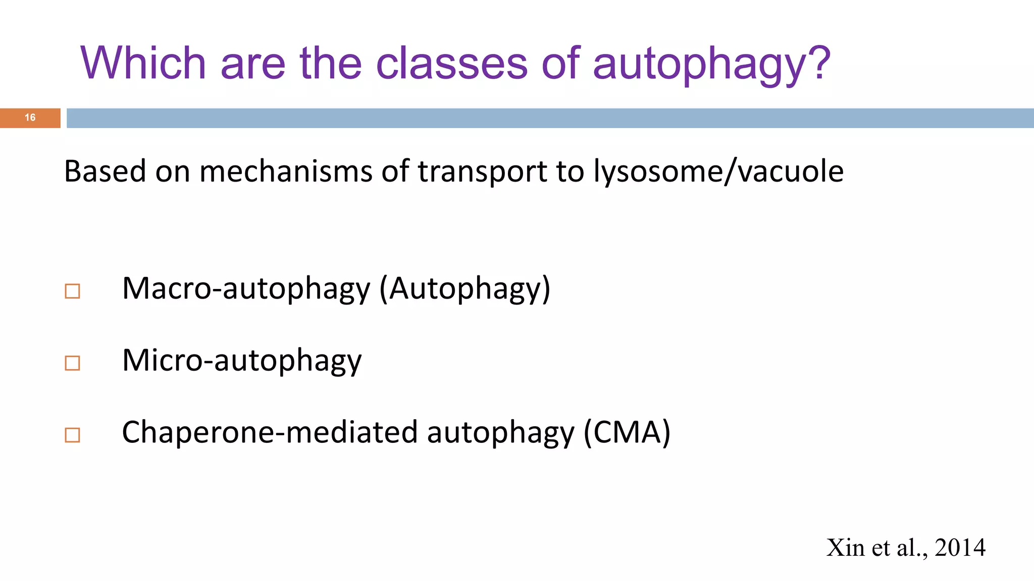 Autophagy | PPTX