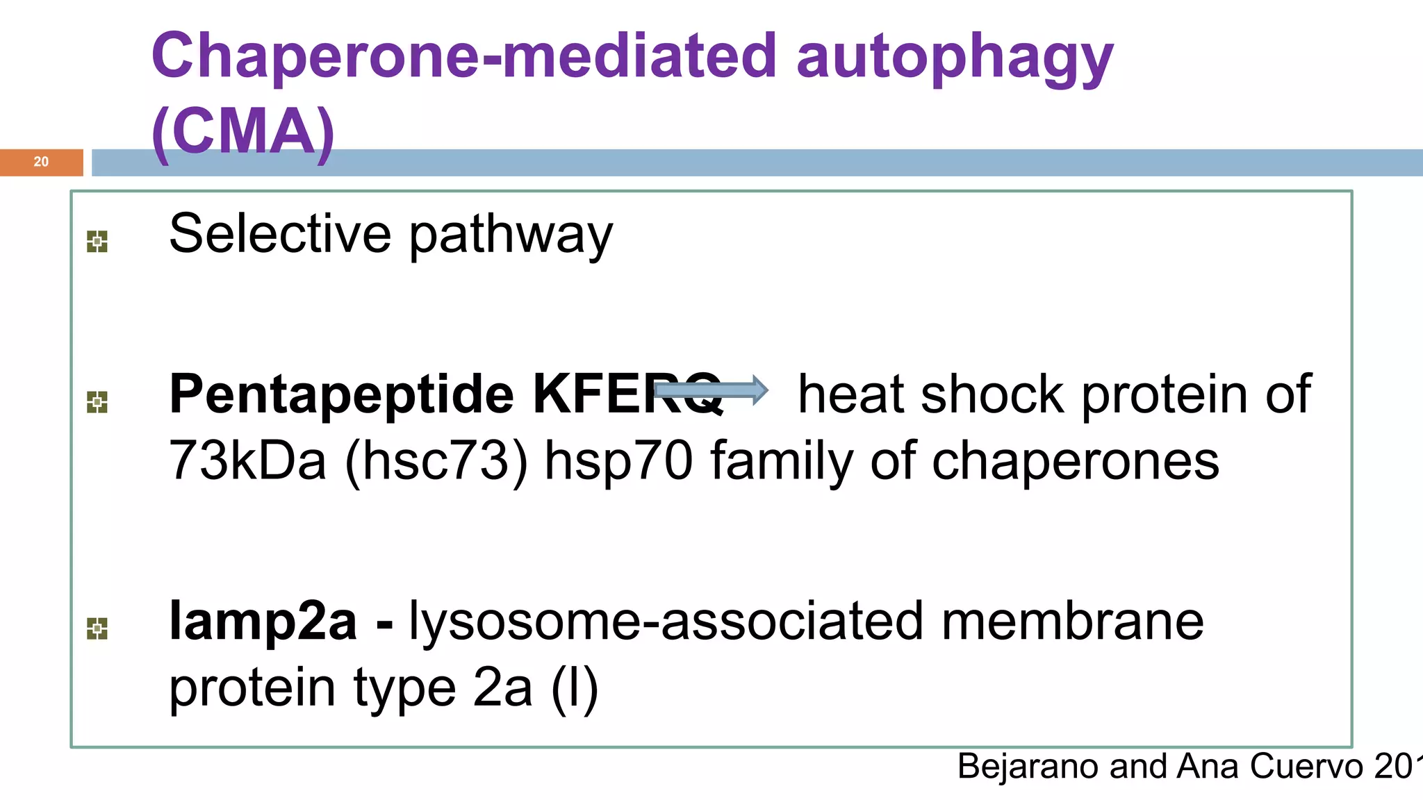 Autophagy | PPTX
