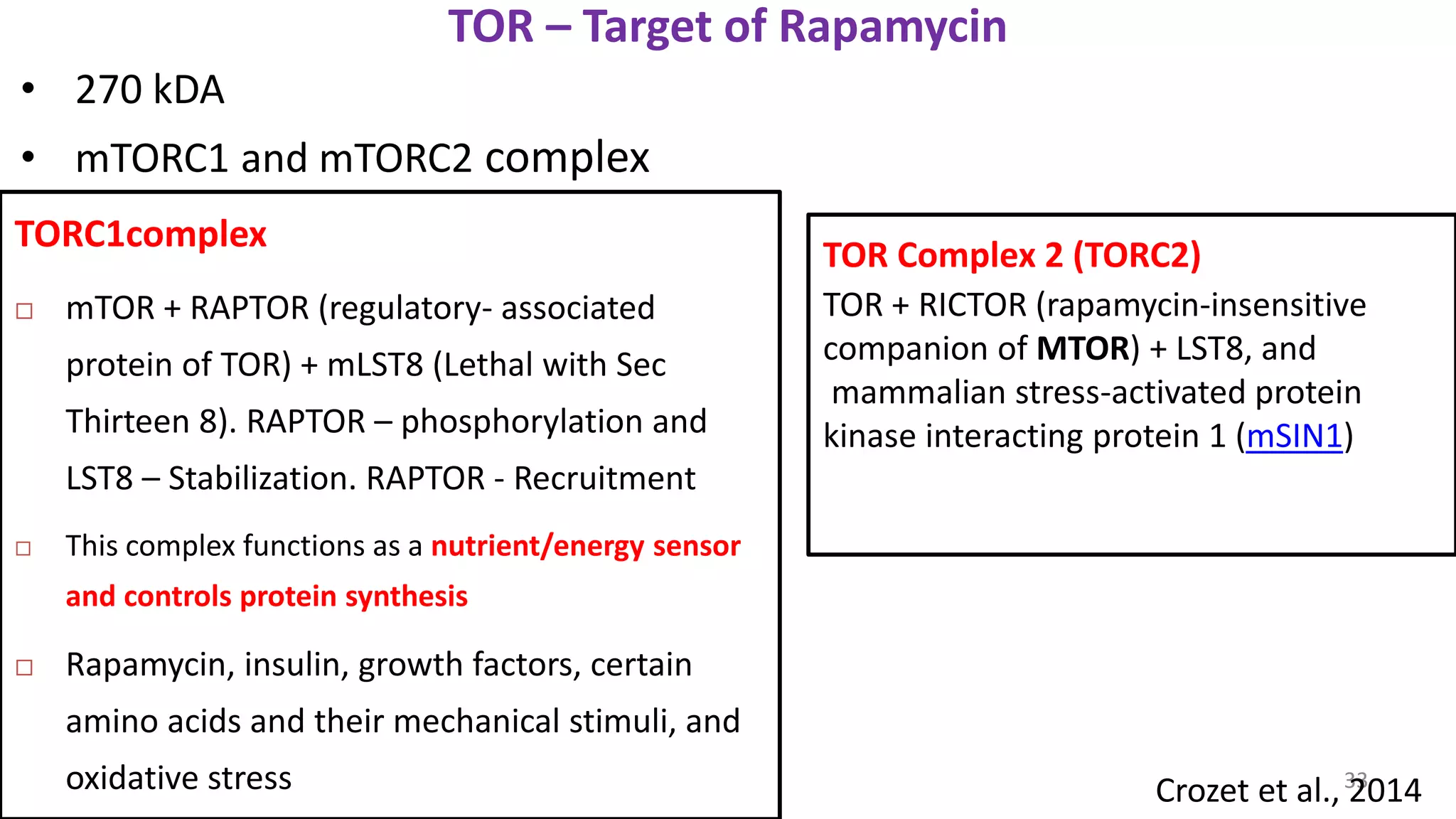 Autophagy | PPTX