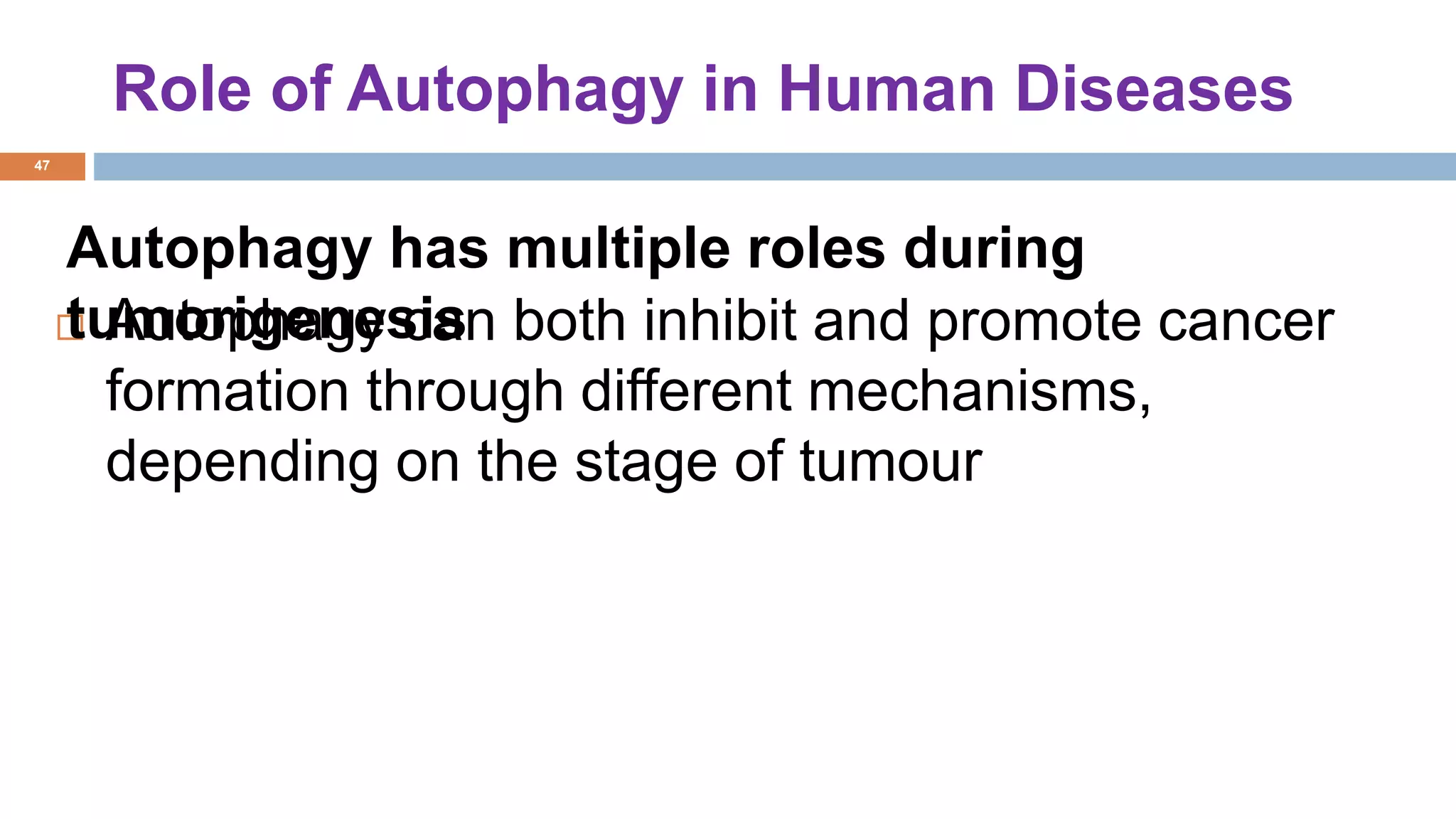 Autophagy | PPTX