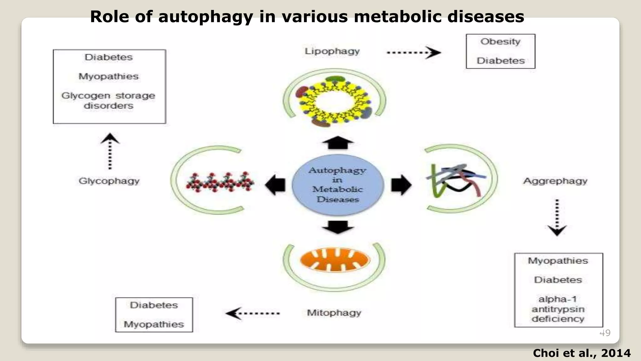 Autophagy | PPTX