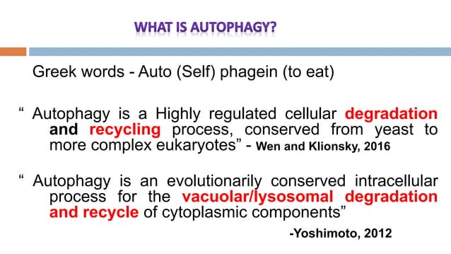 Autophagy | PPTX | Biological Sciences | Science