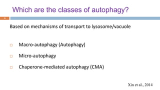 Autophagy | PPTX