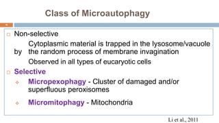 Autophagy | PPTX