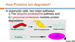 Autophagy | PPTX
