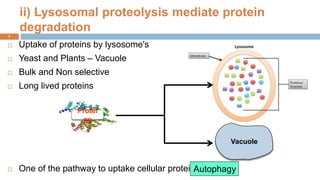 Autophagy | PPTX