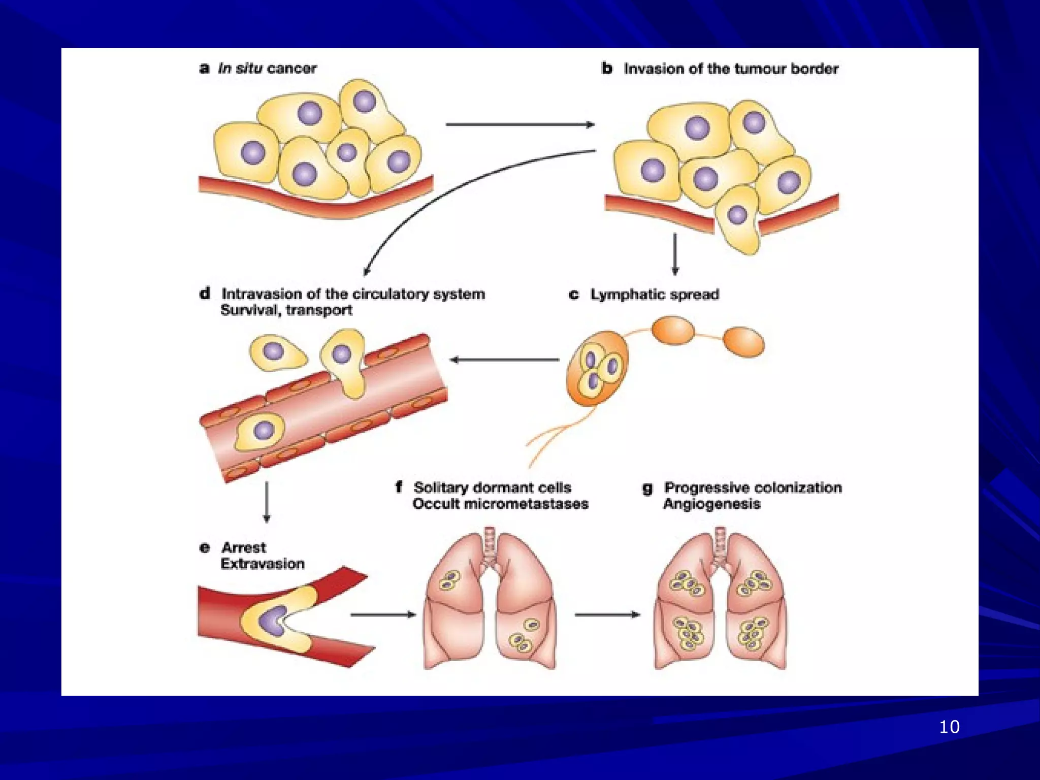 Molecular mechanism of cancer metastasis | PPT