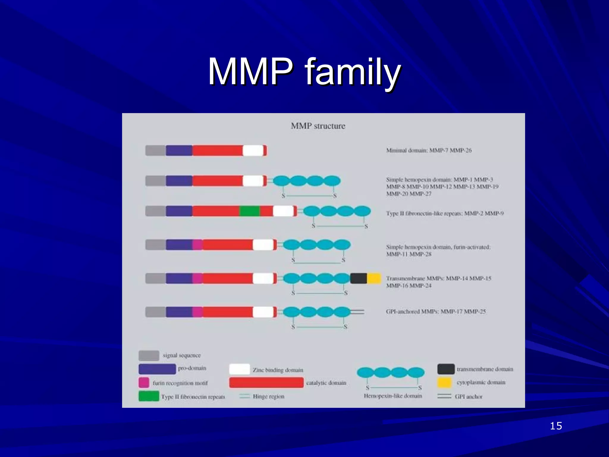 Molecular mechanism of cancer metastasis | PPT