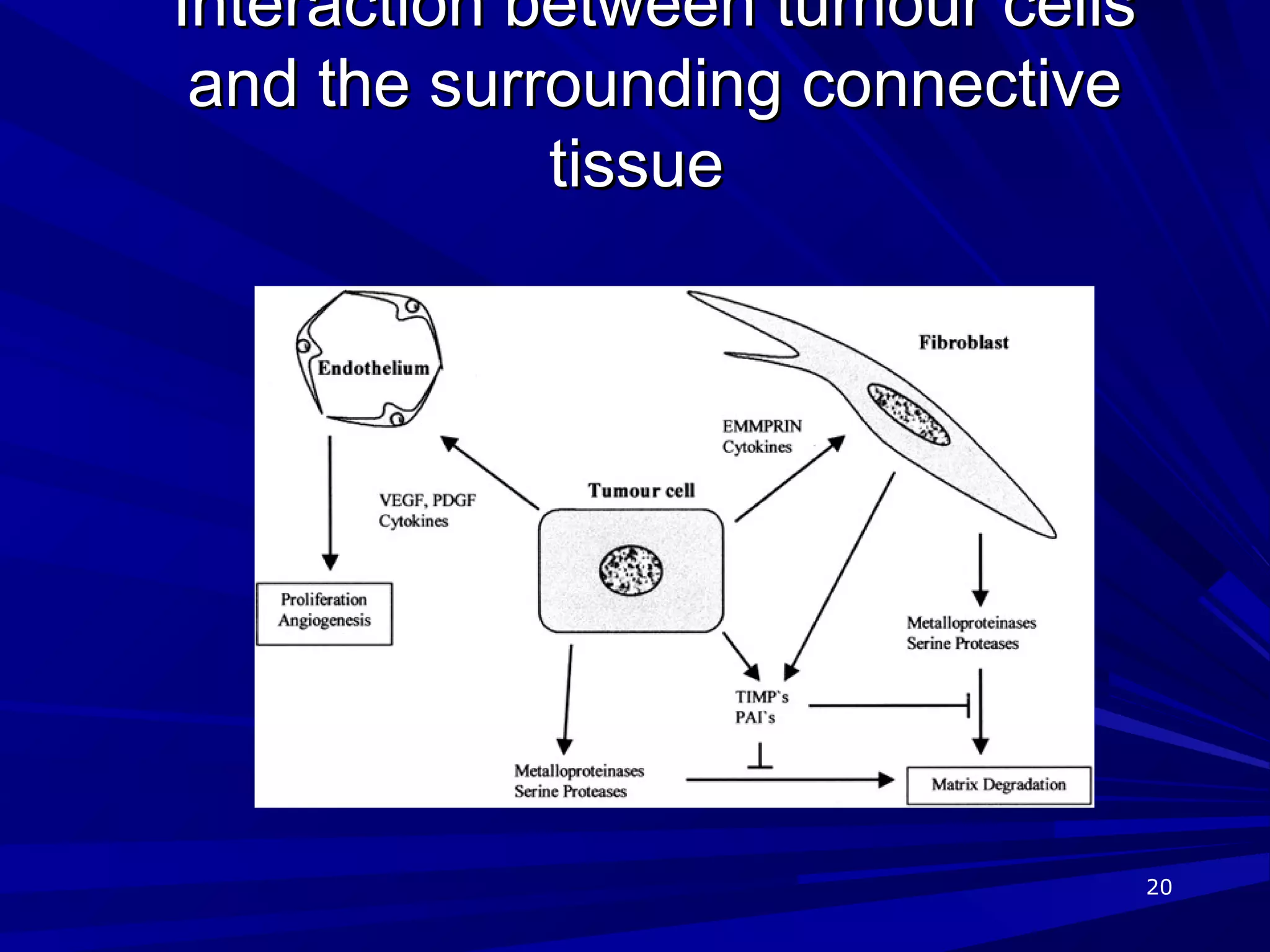 Molecular mechanism of cancer metastasis | PPT