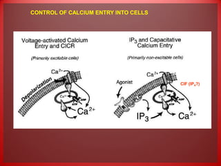 Molecular mechanism of drug action | PPTX