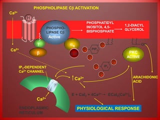 Molecular mechanism of drug action | PPTX