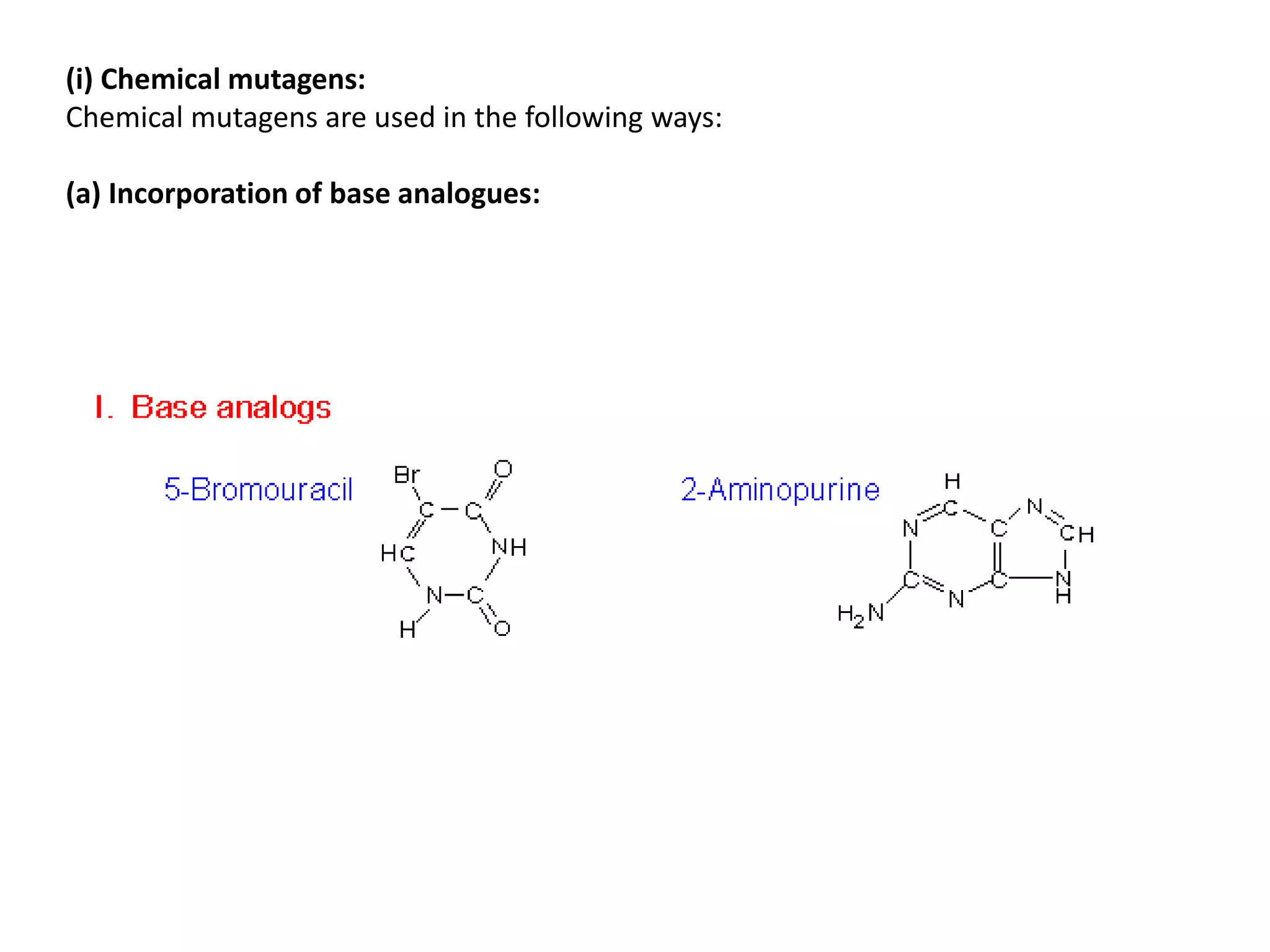 Molecular mechanism of induced mutations | PPTX | Chemistry | Science