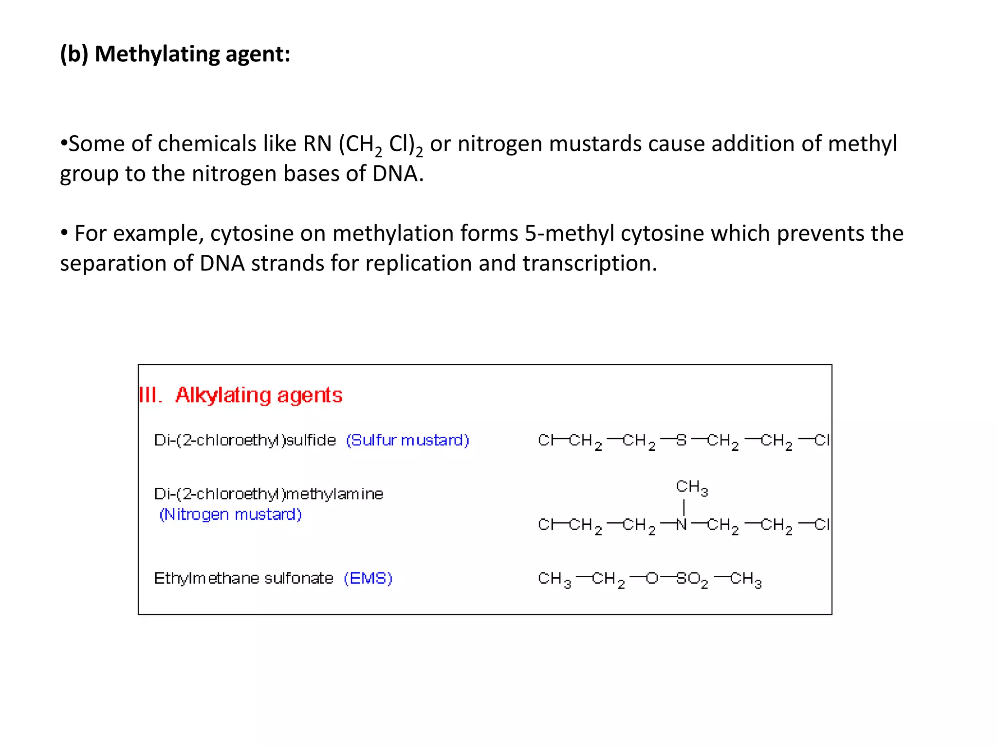Molecular mechanism of induced mutations | PPTX