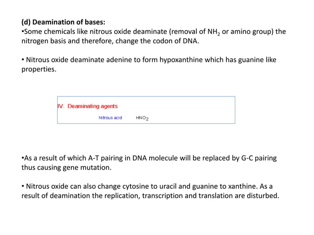 Molecular mechanism of induced mutations | PPTX | Chemistry | Science