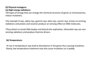 Molecular mechanism of induced mutations | PPTX | Chemistry | Science