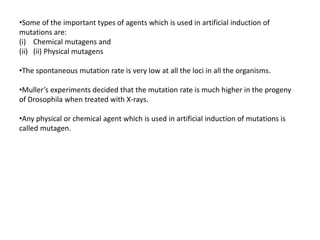 Molecular mechanism of induced mutations | PPTX | Chemistry | Science