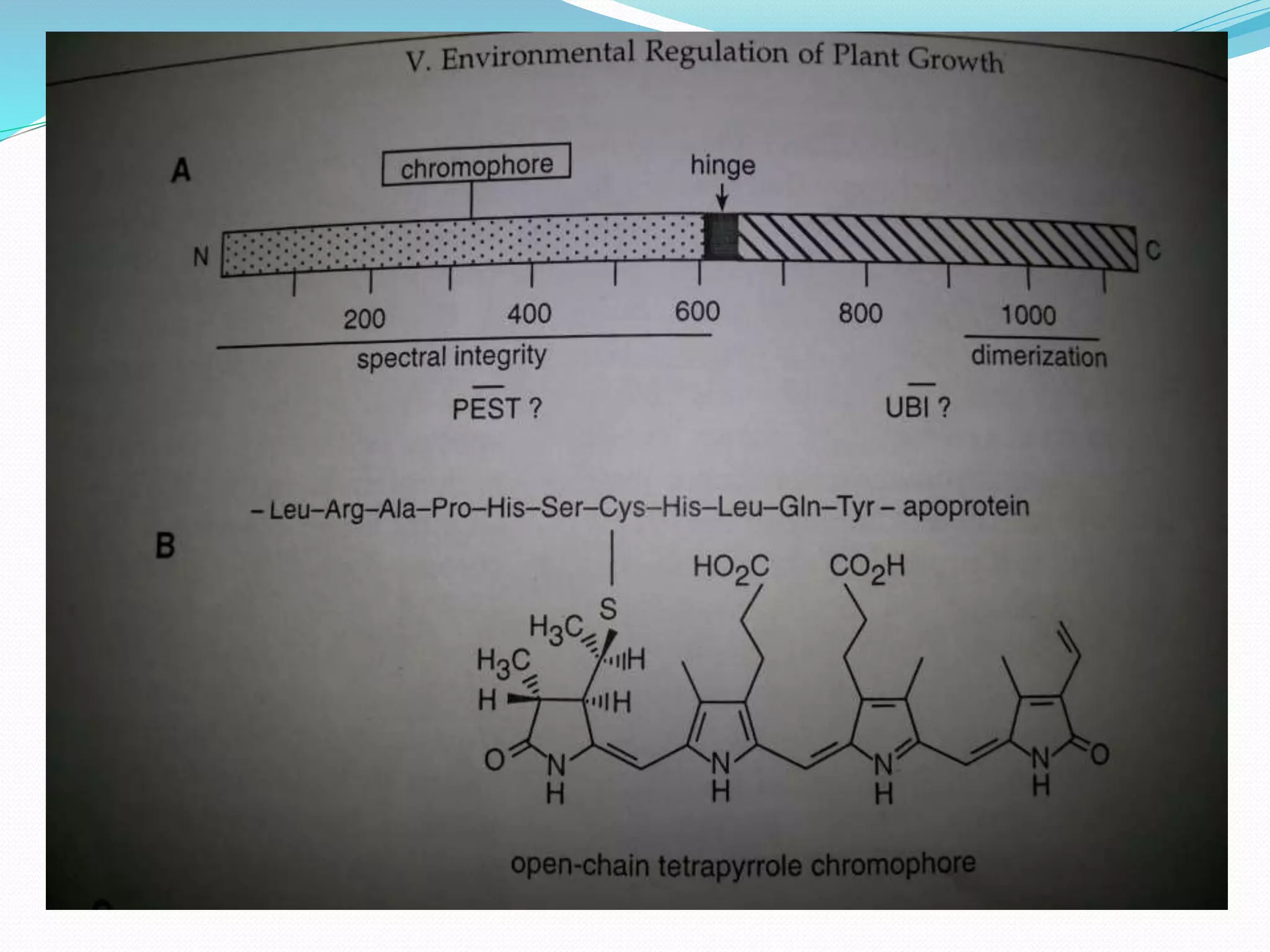 Molecular mechanism of light perception, signal transduction and gene ...