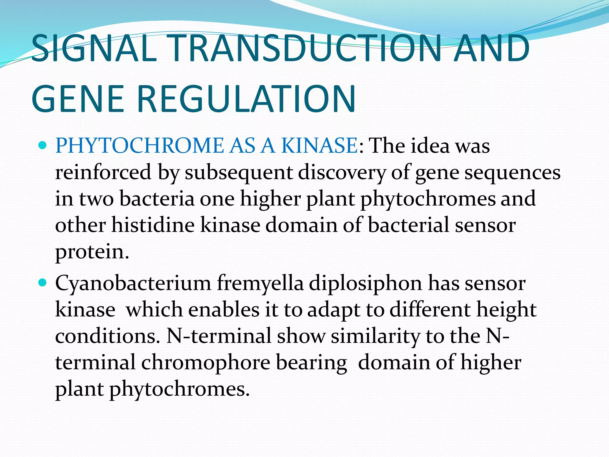 Molecular mechanism of light perception, signal transduction and gene ...
