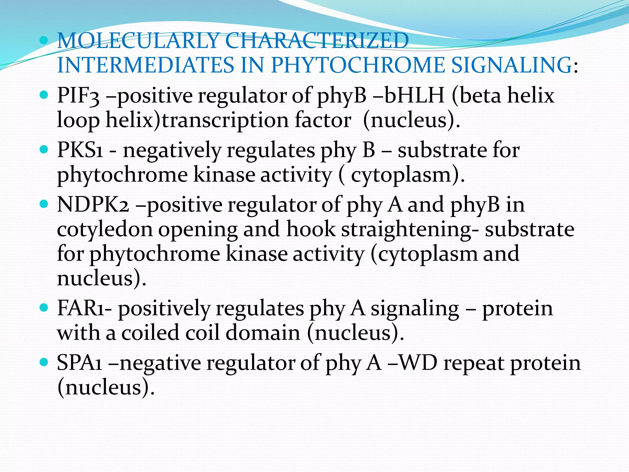 Molecular mechanism of light perception, signal transduction and gene ...