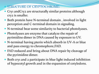 Molecular mechanism of light perception, signal transduction and gene ...