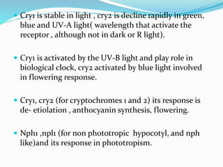 Molecular mechanism of light perception, signal transduction and gene ...