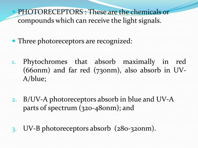 Molecular mechanism of light perception, signal transduction and gene ...