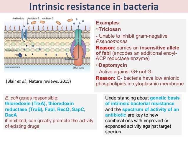 Molecular mechanism of multi drug resistance